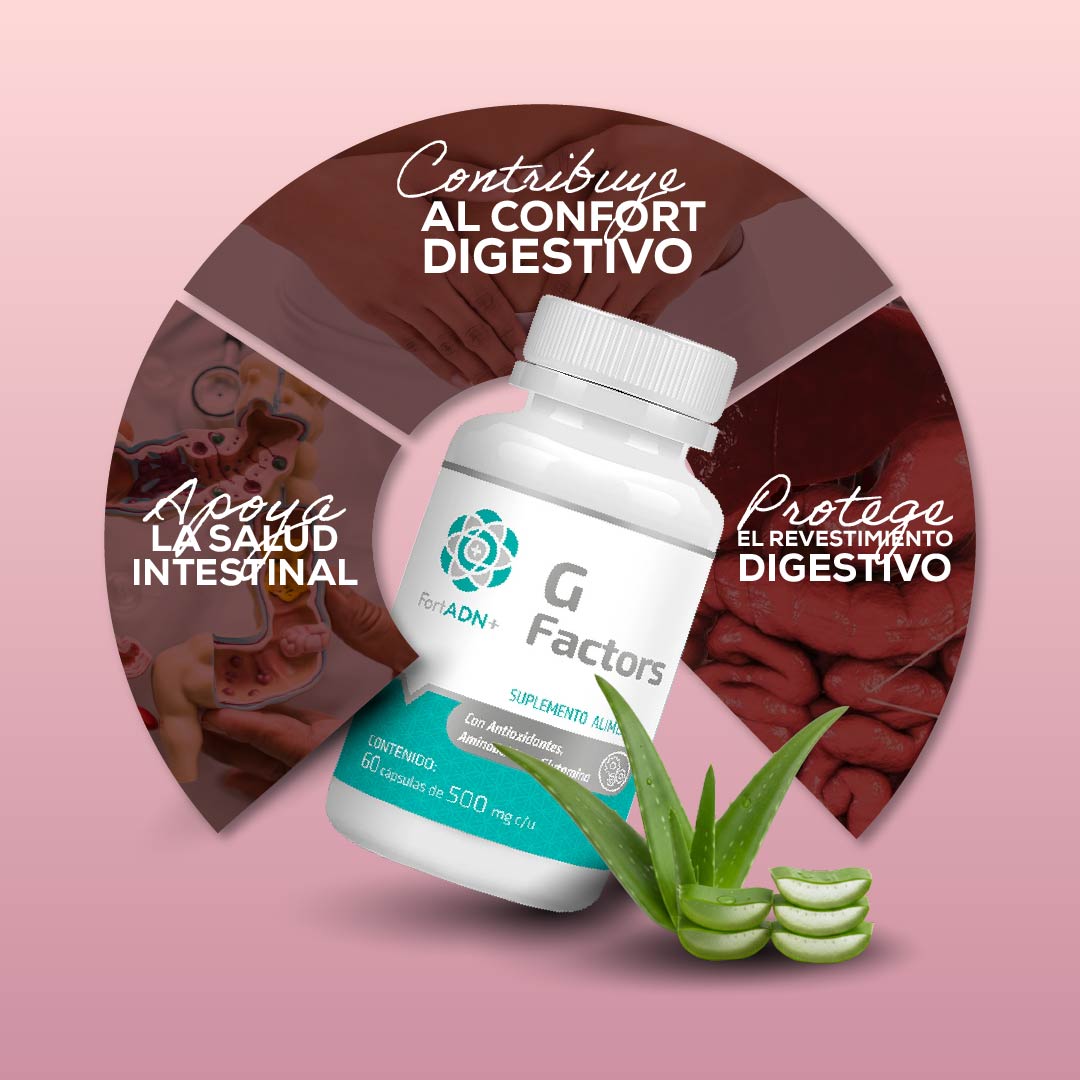G Factors Fort ADN | Aloe Vera y L Glutamina | 60 Cápsulas – Tienda ...